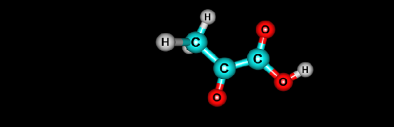 In focus: Pyruvic Acid – ExSyn